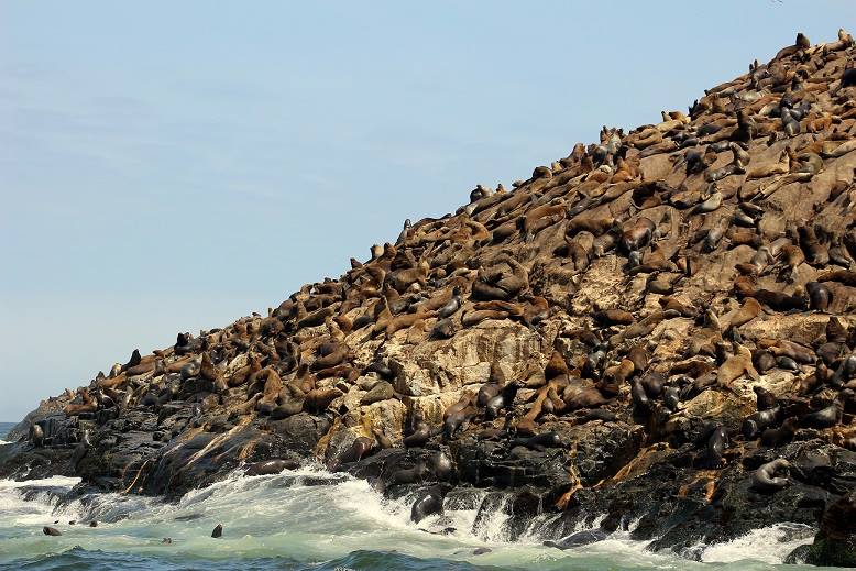 Vista Satelital de las Islas Cavinzas - Callao - Lima - Capital del Perú